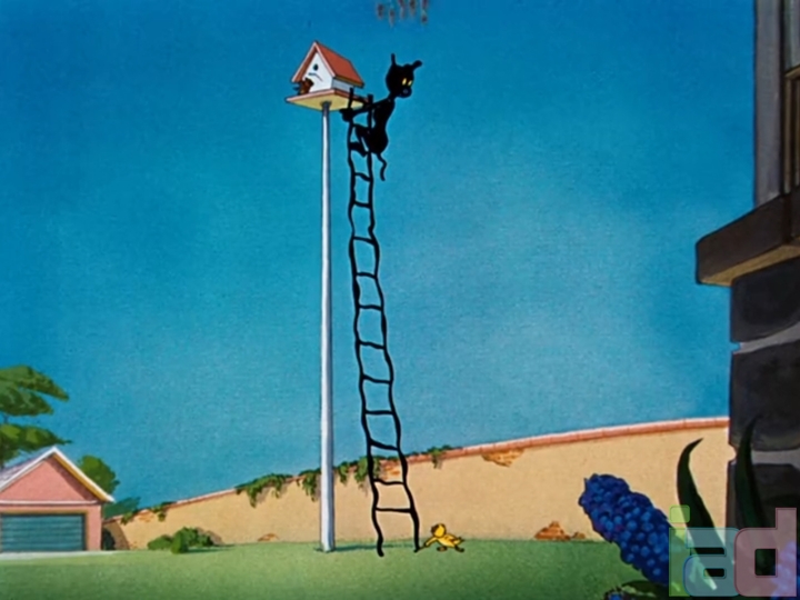 The Flying Cat (1952) - The Internet Animation Database
