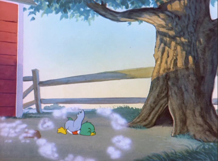 The Duck Doctor (1952) - The Internet Animation Database