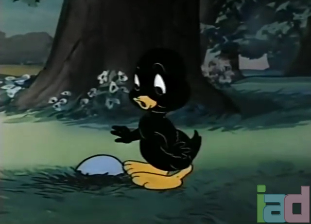 The Orphan Egg (1953) - The Internet Animation Database