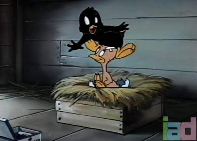 The Orphan Egg (1953) - The Internet Animation Database