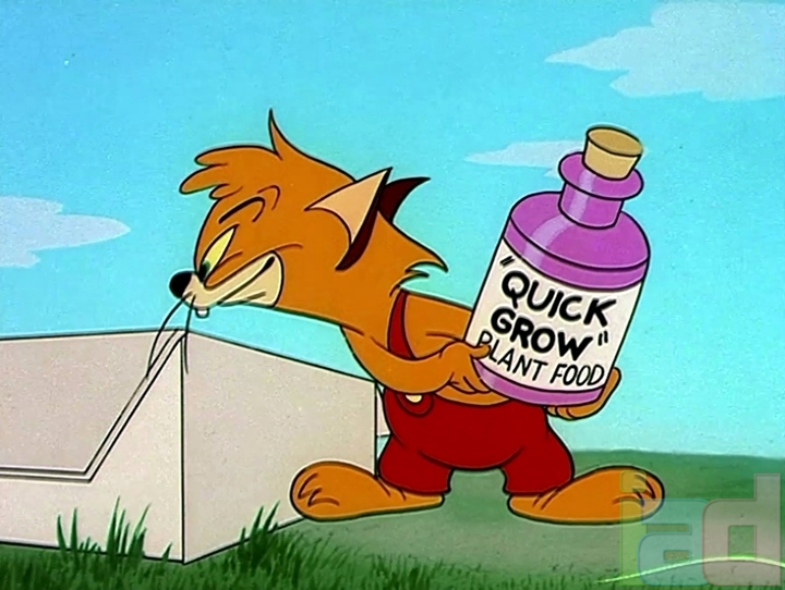 Wee Willie Wildcat (1953) - The Internet Animation Database