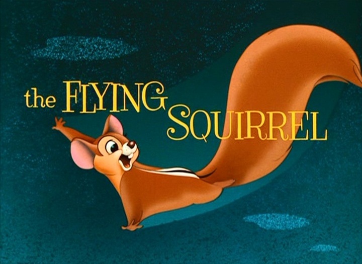 The Flying Squirrel (1954) - The Internet Animation Database