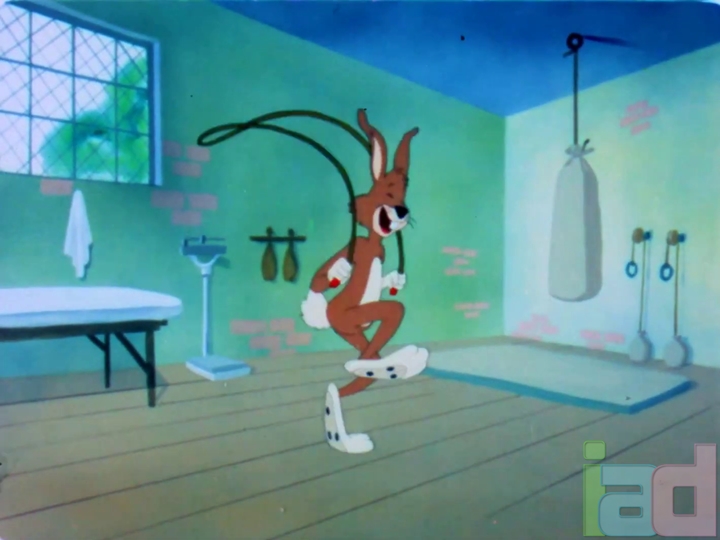Rabbit Punch (1955) - The Internet Animation Database
