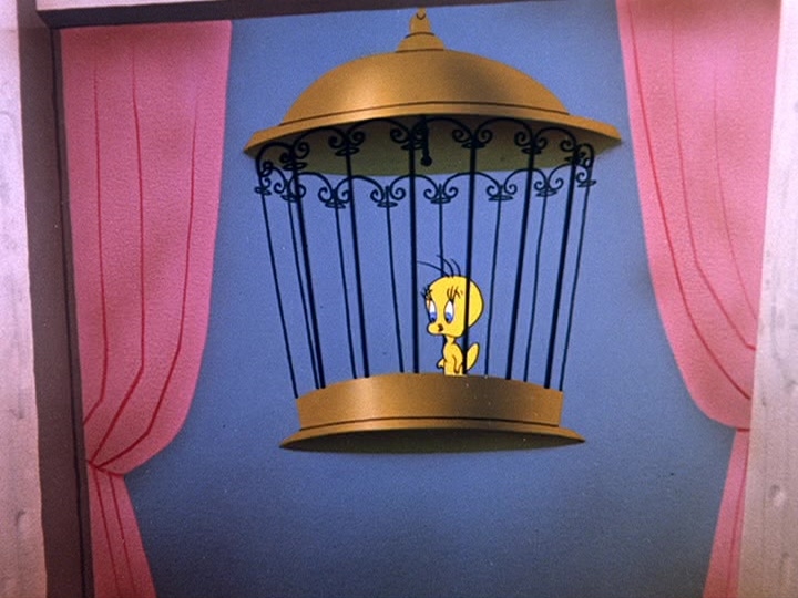 Tree Cornered Tweety (1956) - The Internet Animation Database