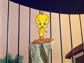 Tweet Zoo (1957) - The Internet Animation Database