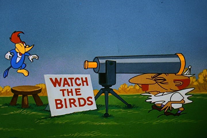 Watch the Birdie (1958) - The Internet Animation Database