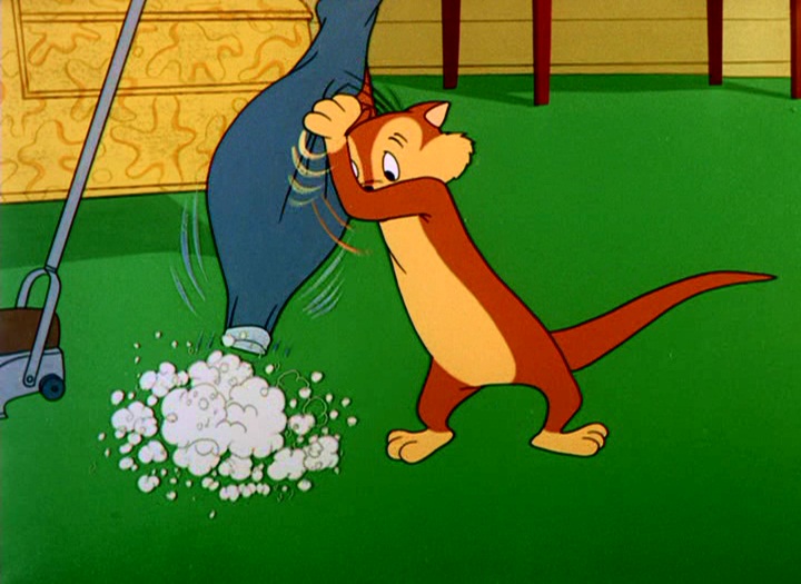 Mouse-Placed Kitten (1959) - The Internet Animation Database