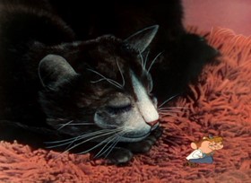 The Mouse That Jack Built (1959) - The Internet Animation Database