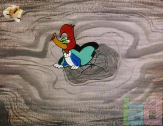 Stowaway Woody (1963) - The Internet Animation Database