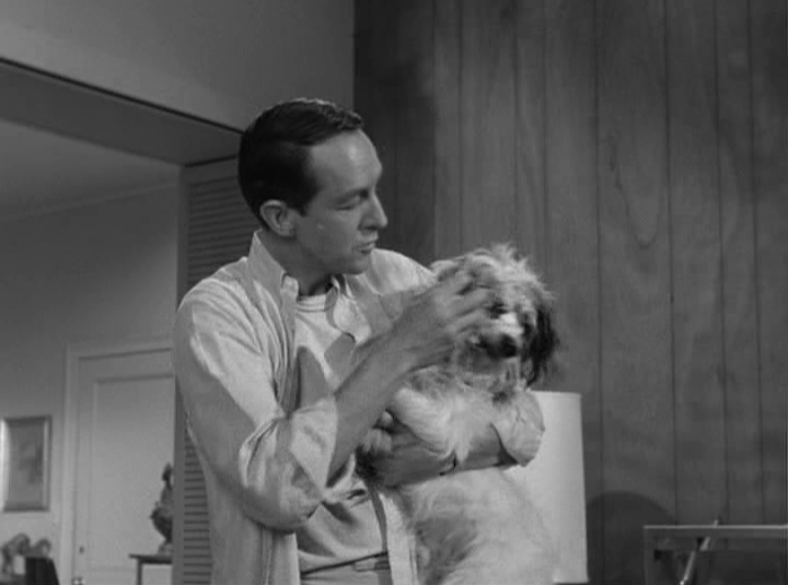 Philbert (Three's a Crowd) (1963) - The Internet Animation Database