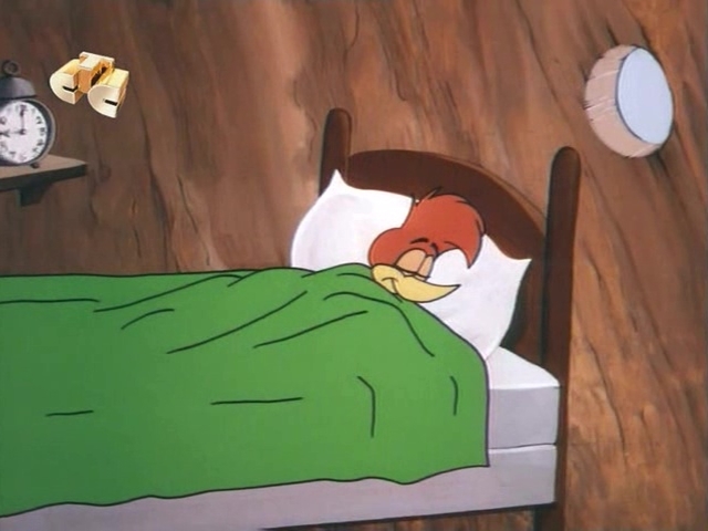 The Snoozin' Bruin (1971) - The Internet Animation Database