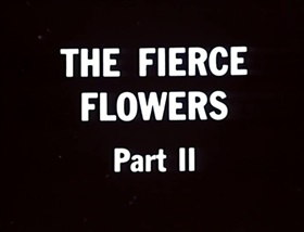 The Fierce Flowers Part II (1978) - The Internet Animation Database