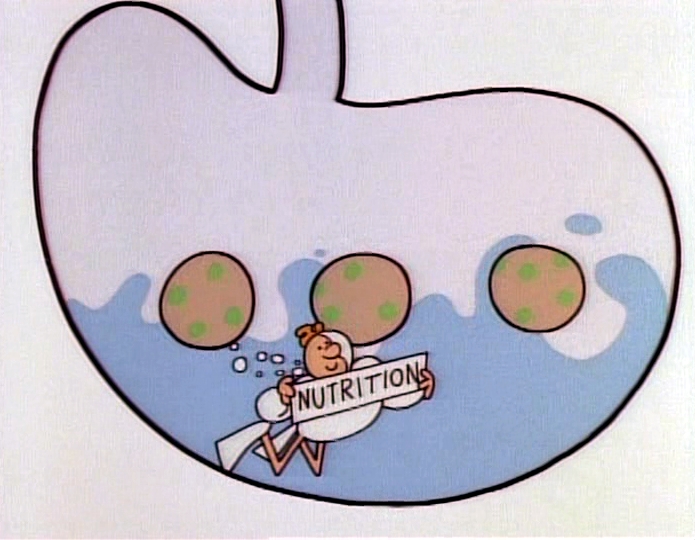 The Body Machine (1979) - The Internet Animation Database