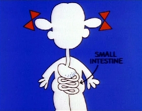 The Body Machine (1979) - The Internet Animation Database