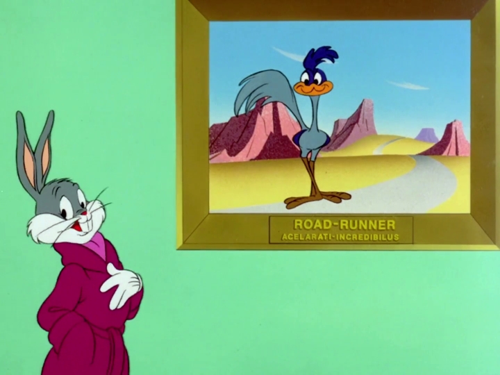 The Bugs Bunny / Road Runner Movie (1979) - The Internet Animation Database