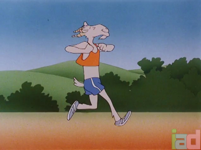 Animalympics (1980) - The Internet Animation Database
