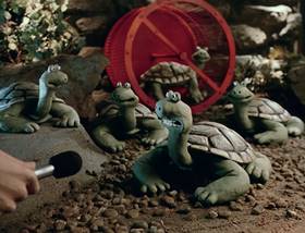 Creature Comforts (1989) - The Internet Animation Database