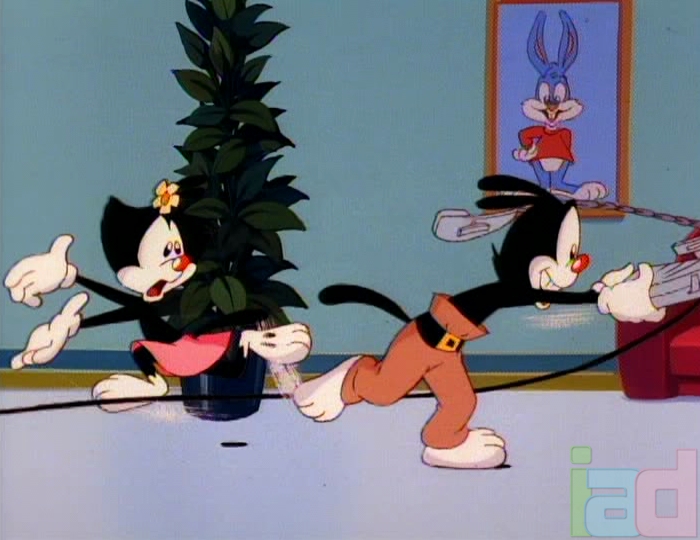 Temporary Insanity (1993) - The Internet Animation Database