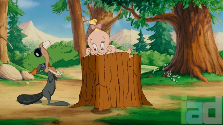 Trail Mix-Up (1993) - The Internet Animation Database