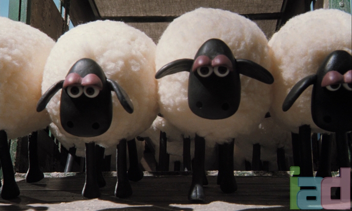 A Close Shave (1995) - The Internet Animation Database