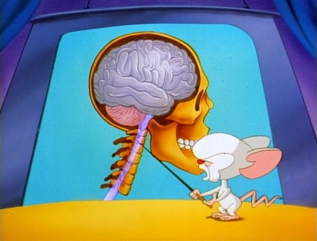 Brainstem (1995) - The Internet Animation Database