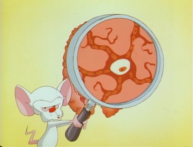 Brainstem (1995) - The Internet Animation Database