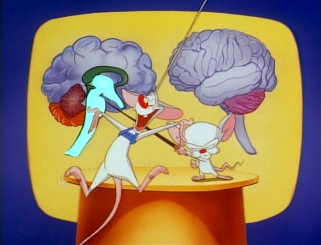 Brainstem (1995) - The Internet Animation Database