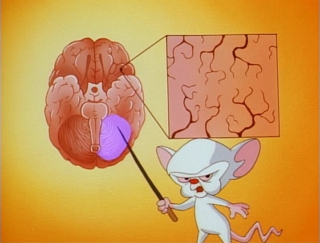 Brainstem (1995) - The Internet Animation Database