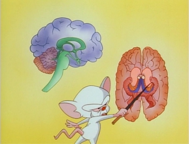 Brainstem (1995) - The Internet Animation Database