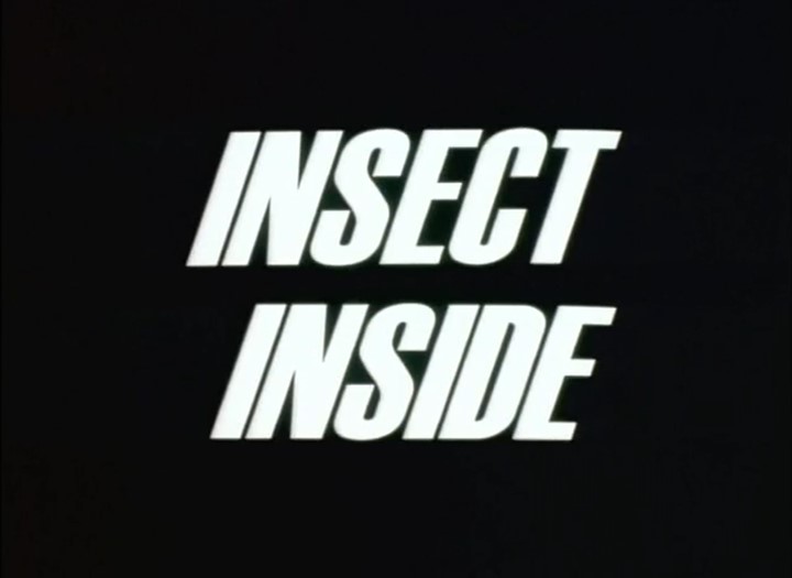 Insect Inside (1998) - The Internet Animation Database
