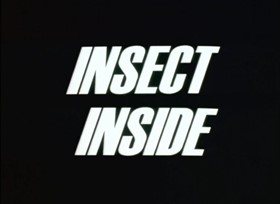 Insect Inside (1998) - The Internet Animation Database