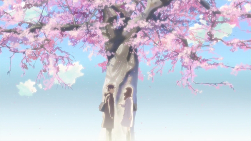 5 Centimeters Per Second (2007) - The Internet Animation Database