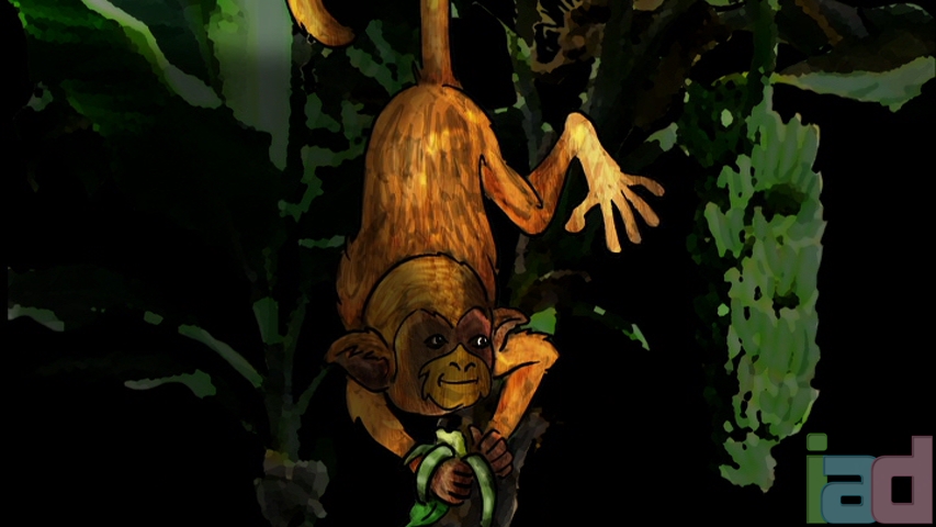 The Rainforest (2009) - The Internet Animation Database