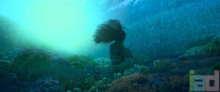 Moana (2016) - The Internet Animation Database