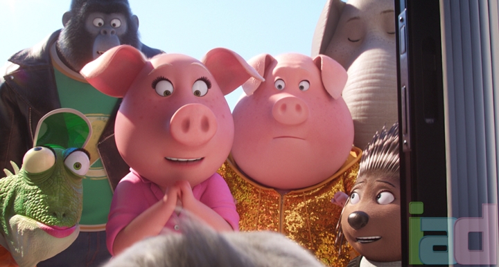 Sing (2016) - The Internet Animation Database