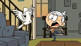 Kick the Bucket List (2017) - The Internet Animation Database