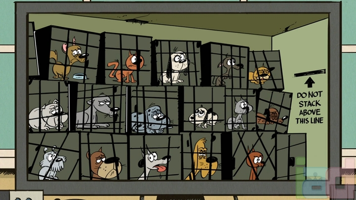 Pets Peeved (2017) - The Internet Animation Database