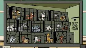 Pets Peeved (2017) - The Internet Animation Database