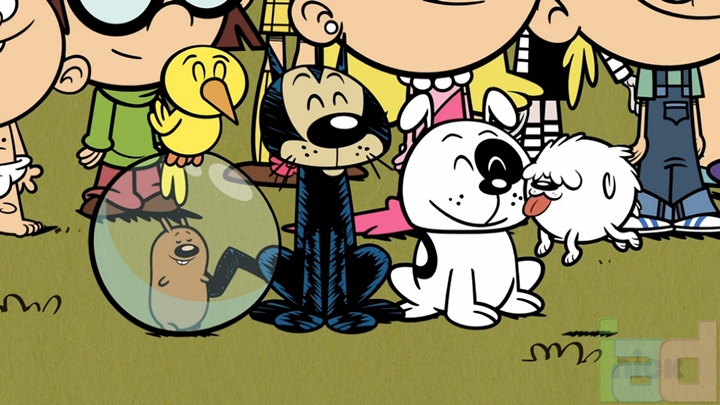 Pets Peeved (2017) - The Internet Animation Database