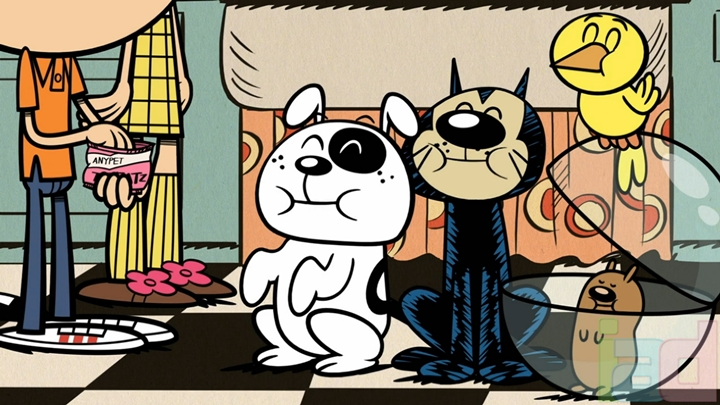 Pets Peeved (2017) - The Internet Animation Database