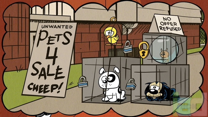 Pets Peeved (2017) - The Internet Animation Database