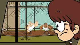 Net Gains (2018) - The Internet Animation Database