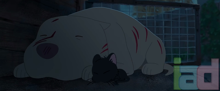 Kitbull (2019) - The Internet Animation Database