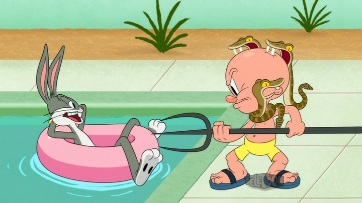 Pool Bunny (2020) - The Internet Animation Database