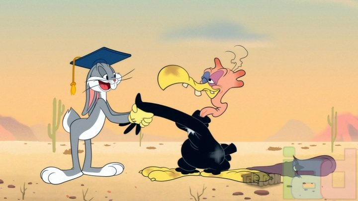 Buzzard School (2020) - The Internet Animation Database