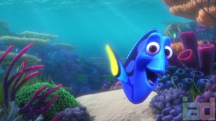 Dory's Reef Cam (2020) - The Internet Animation Database