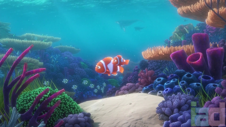 Dory's Reef Cam (2020) - The Internet Animation Database