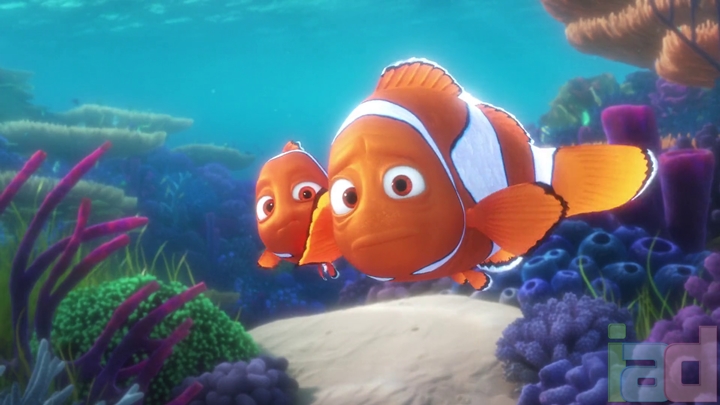 Dory's Reef Cam (2020) - The Internet Animation Database