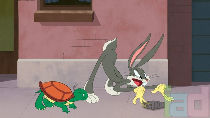 Shell Shocked (2021) - The Internet Animation Database