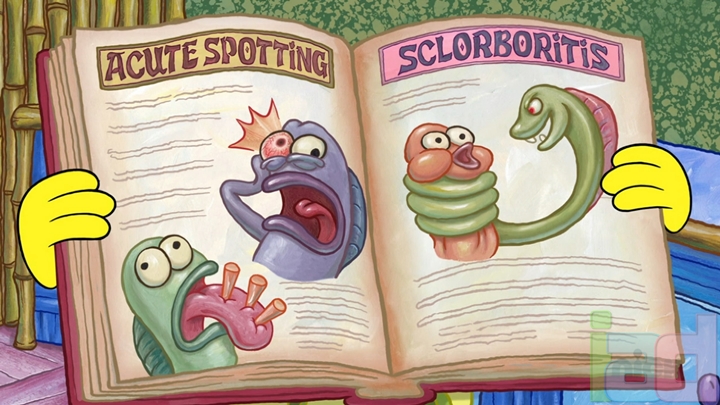 Squidward's Sick Daze (2021) - The Internet Animation Database